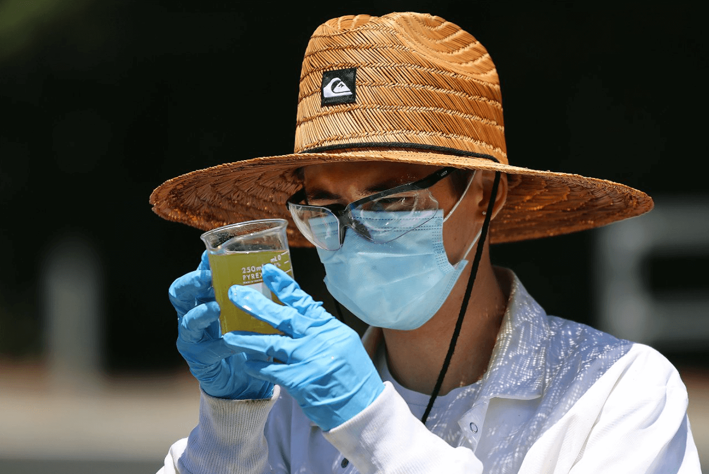 Research - ceenve-dev