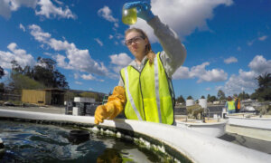 Sure Program - ceenve-dev